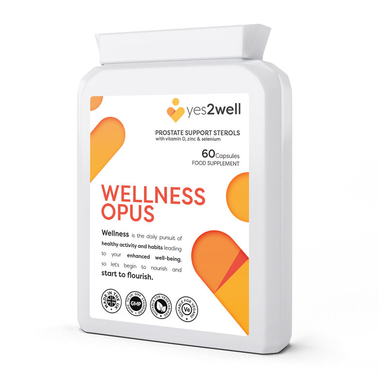 Wellness Opus Immune Health Booster with Vitamin D, Zinc and Selenium ...